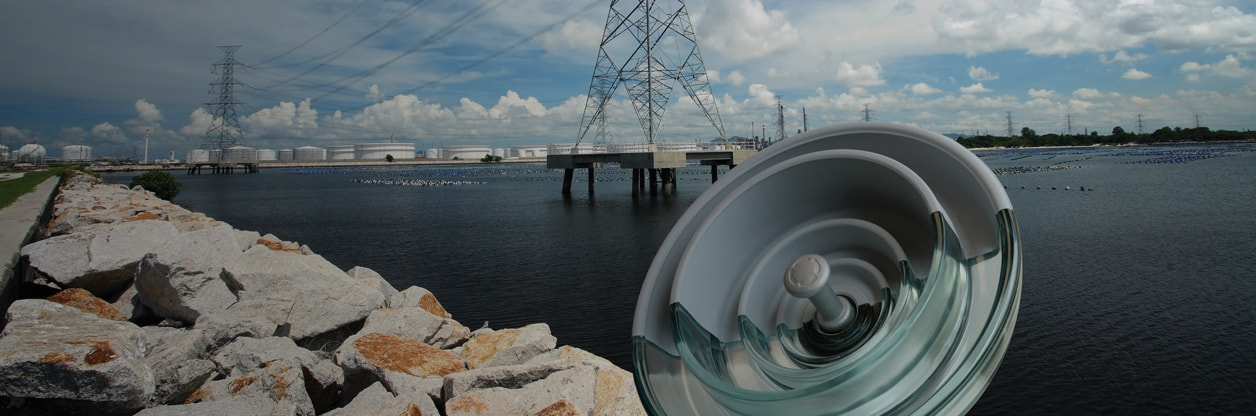 Solution for extreme pollution - Sedicoat® RTV coated glass insulator